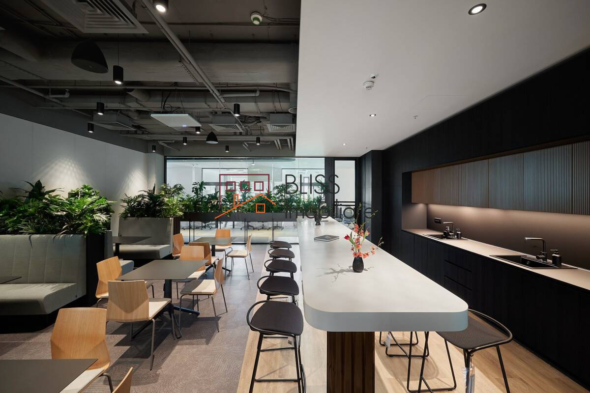 MASIA by COS | Co working | Miro Offices Office Project | Bliss Imobiliare