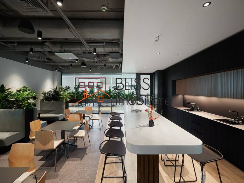 MASIA by COS | Co working | Miro Offices Office Project | Bliss Imobiliare