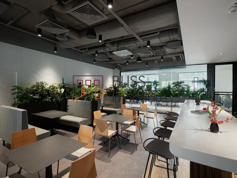 MASIA by COS | Co working | Miro Offices Office Project | Bliss Imobiliare